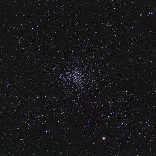 Messier M37 (NGC 2099) | Auriga Constellation | Go Astronomy